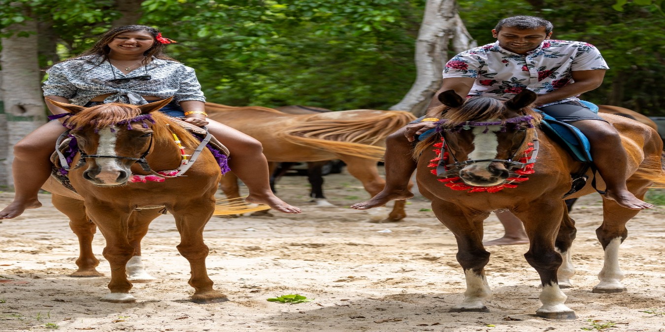 Horseback Riding | Bago TT